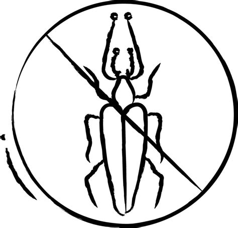 Insecticide Hand Drawn Vector Illustration 35335005 Vector Art At Vecteezy