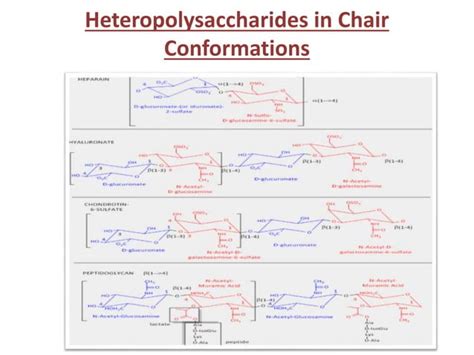 Heteropolysaccharide Pptx