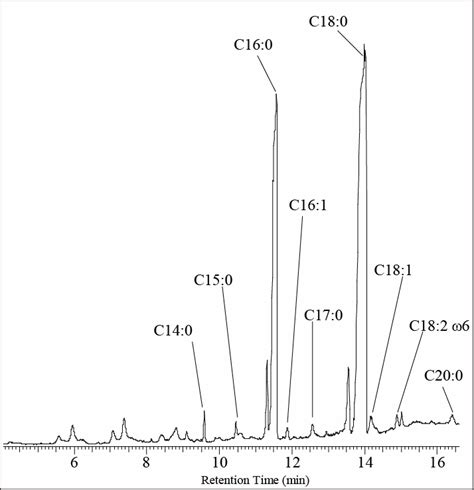 4 A Typical Gc Ms Total Ion Chromatogram Tic From The Analysis Of Download Scientific