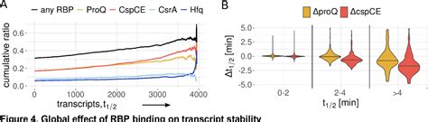 Figure From Improved RNA Stability Estimation Through Bayesian Modeling Reveals Most