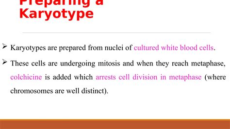 7 Karyotyping Ppt Pdf يركز على الجانب الطبي Ppt