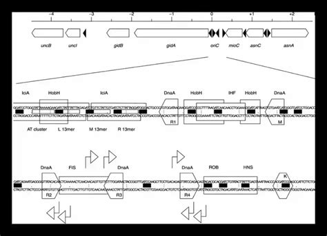 Autonomously Meaning And Definition In Arabic Quran Mualim 2025