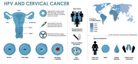 Comprehensive Guide To Human Papillomavirus Hpv Understanding