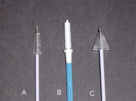 Collection Brushes A Brush From Surepath Sample Collection Kit