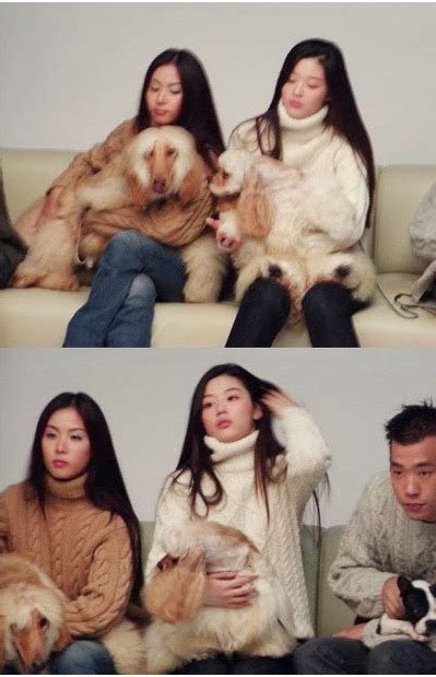 고소영전지현이미연김태희 인스티즈instiz 이슈 카테고리