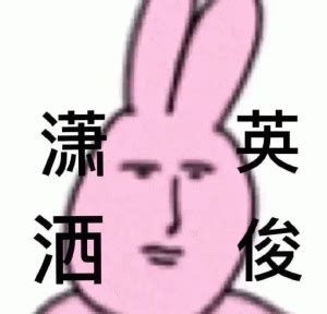 潇 洒 英俊表情包表情包图片gif动图 求表情网 斗图从此不求人