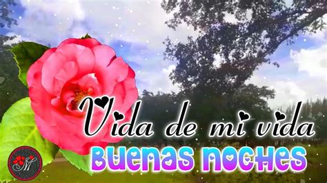 Te Espero En Mis SueÑos 💗 Buenas Noches Mi Amor 💗 Este Mensaje Es Para