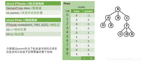 【数据结构初稿】树和二叉树总结——基本知识要点汇总2叉树的英语 Csdn博客