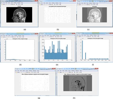 encryption and decryption results of mri skull jpeg image a plain