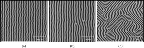 Metrology For Block Copolymer Directed Self Assembly Structures Using Mueller Matrix Based