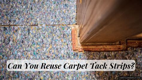 Can You Reuse Carpet Tack Strips Tips Tricks