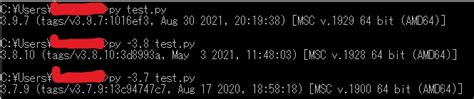 【初心者向け】windowsでの素のpython環境構築【pythonランチャー venv】 研究人生