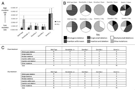 A Hprt Gene Mutation Rates 23 25 Population Doublings After 3Gy Download Scientific Diagram