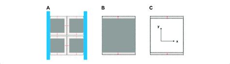 X Axis Displacement Constrained Adsorption Induced Strain Experiment Download Scientific