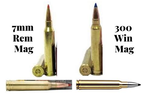 7mm Rem Mag Vs 300 Win Mag Cartridge Comparison June Updated