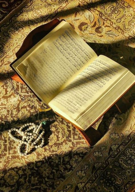 Muhammad Bashir Khan On Linkedin Passion For Revenge Versus Forgiveness