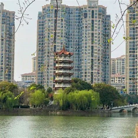 云梦获评“全国农作物病虫害绿色防控整建制推进县”云梦县种植业农业