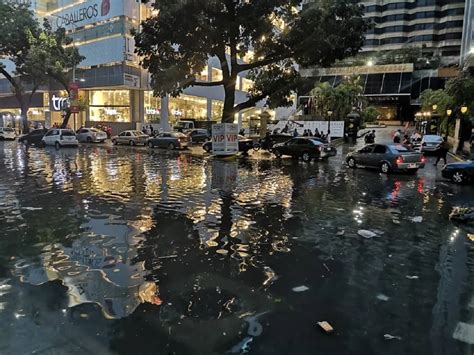 Fuertes Lluvias Ocasionan Caída De árboles E Inundaciones En Varias