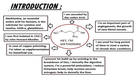 Metabolism Of Methionine Ppt