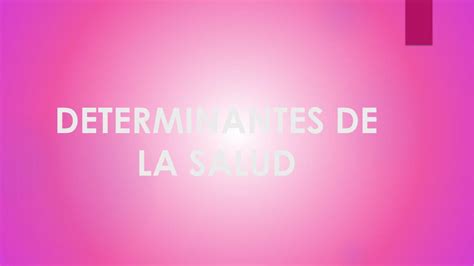 Determinantes De La Salud Cc Kraven Udocz