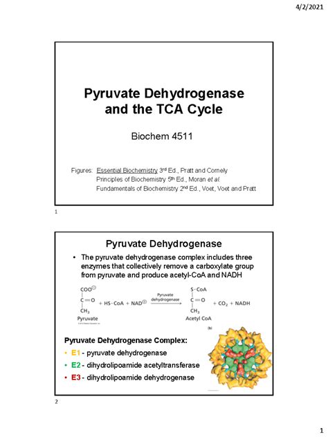 Chapter 13 Pyruvate Dehydrogenase And Tca Cycle Pyruvate Dehydrogenase And The Tca Cycle