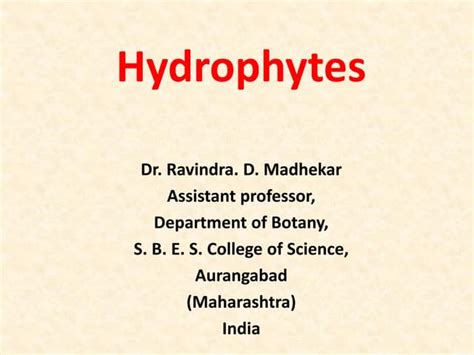Hydrophytes Pdf