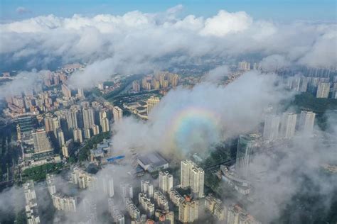 强冷空气即将“到货”！蓬江区寒冷黄色预警信号已生效！未来24小时降温幅度可达10℃！澎湃号·政务澎湃新闻 The Paper