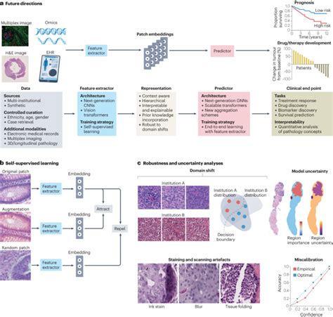 A New Era In Computational Pathology How Ai Foundation Models Are Reshaping Medical Diagnosis