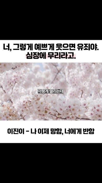 그렇게 예쁘게 웃으면 유죄야 이진이 나 이제 망함 너에게 반함 Youtube