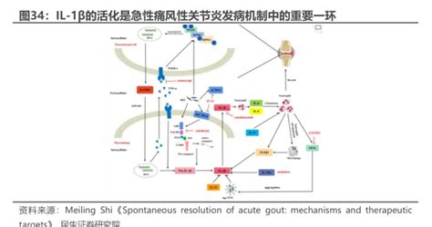 我国慢性鼻 鼻窦炎伴鼻息肉患者人数预测 2024年10月 行业研究数据 小牛行研