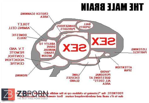 Funnycartoon Zb Porn