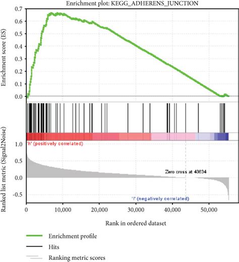 Gene Set Plot At Ella Kendall Blog