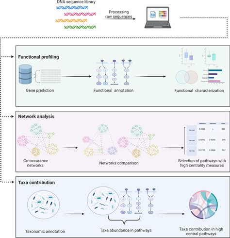 Workflow Of The Study Design The DNA Sequence Library Was Downloaded Download Scientific