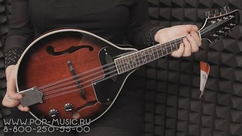 Мандолина Stagg M50e Mandolin Music Instruments