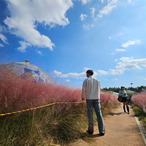 스푼 Dj 타야님의 채널