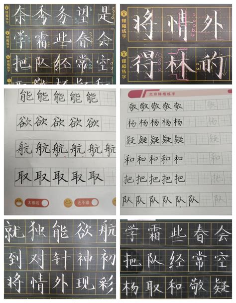 横竖撇捺皆有技潜心学习夯基础 锋格练字第186期全国高级讲师培训班启动报名 往期师训 锋格练字官网 书法加盟 练字加盟 练字班