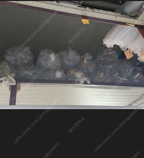 Pc투명파이프 원통케이스투명원통 공장 점포정리 세 산업자재 중고나라