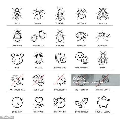 해충 방제를 위한 아이콘을 설정합니다 서비스 도구 장비 인포그래픽 자료 등을 위한 완벽한 제품군입니다 벼룩속에 대한 스톡 벡터 아트 및 기타 이미지 Istock
