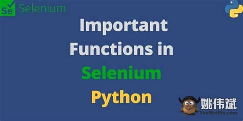 如何在python中使用selenium进行网页抓取 姚伟斌