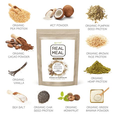 Plant Based Protein Powder Raw Cacao 512g Pouch Pure Food Company