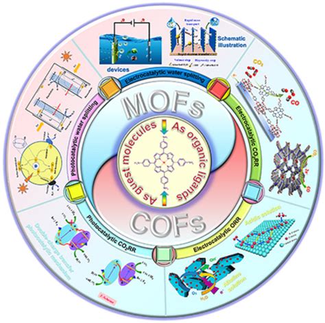 Biologys Hardest Working Pigments And ‘mofs Eurekalert