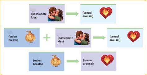 Psych Chp Diagram Quizlet
