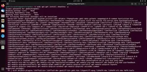 How To Install ShowFOTO Package On Ubuntu GeeksforGeeks