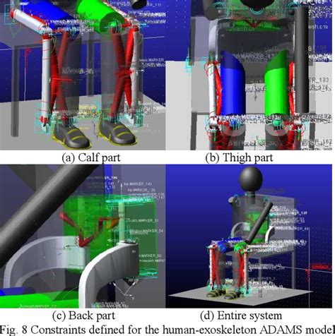 Figure 1 From Modeling And Synergetic Simulation Of A Lower Limb