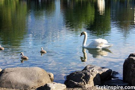 Chehalis Lake British Columbia Canada