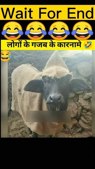 😂 अजब लोगो के गजब कारनामे लोगो के गजब कारनामे Funny Video Funny