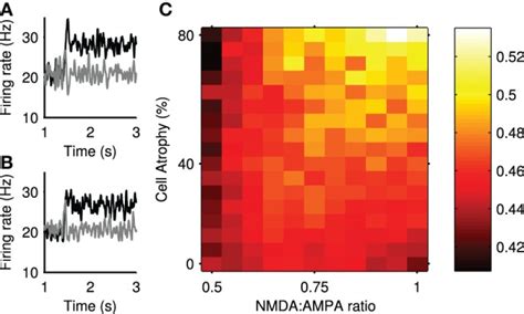 Transient Selection Can Be Enhanced In Simulated Huntingtons Disease Download Scientific