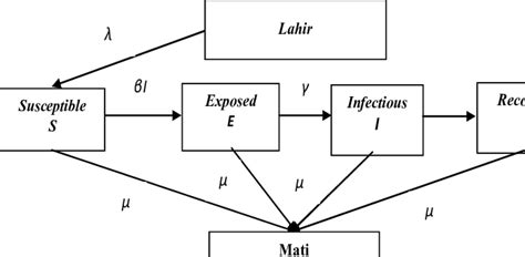 Gambar 1 Diagram Kompartemen Model Seir Dengan Laju Kelahiran Dengan