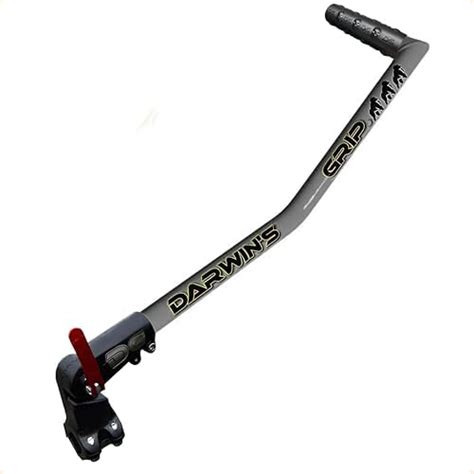 Chickanics Amazon Page