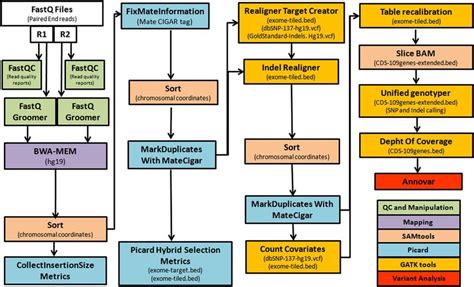 Framework For Variation Discovery And Genotyping From Ngs Sequencing